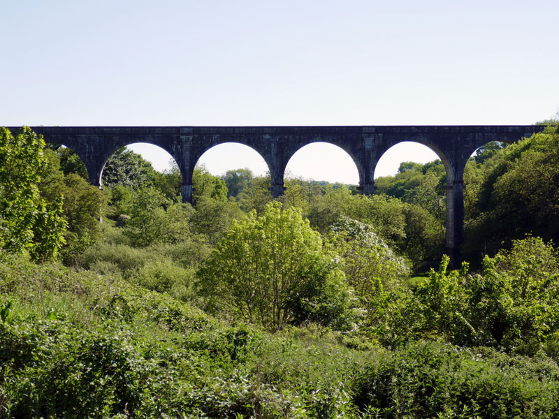 Living In Holsworthy